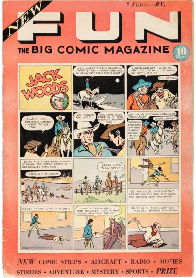 The Superwoman of Comic Book Collecting